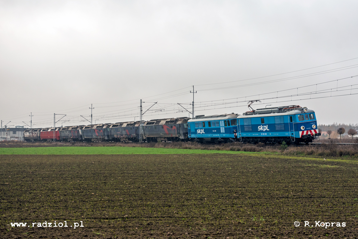 Przybysze z Danii – www.radziol.pl